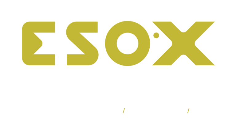 Accueil - ESOX GESTION
